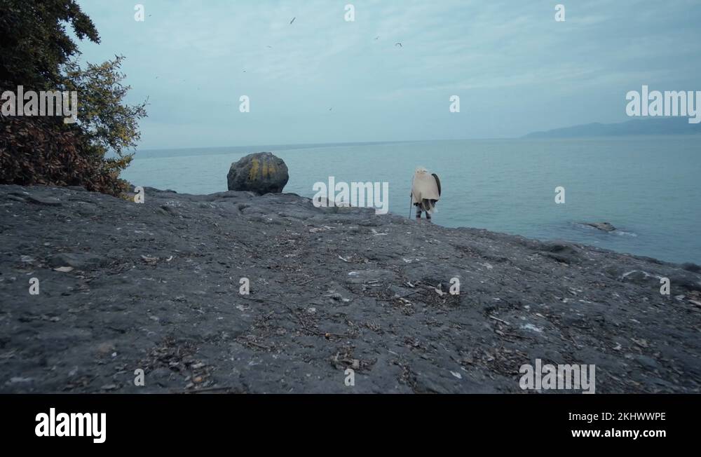 Man deserted island Stock Videos & Footage - HD and 4K Video Clips - Alamy