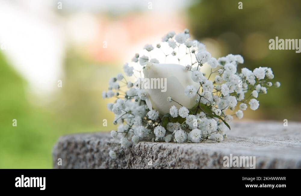 Flower lay Stock Videos & Footage - HD and 4K Video Clips - Alamy