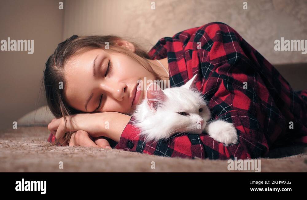young girl sleeping with a white cat on the couch. Close-up of cat's ...