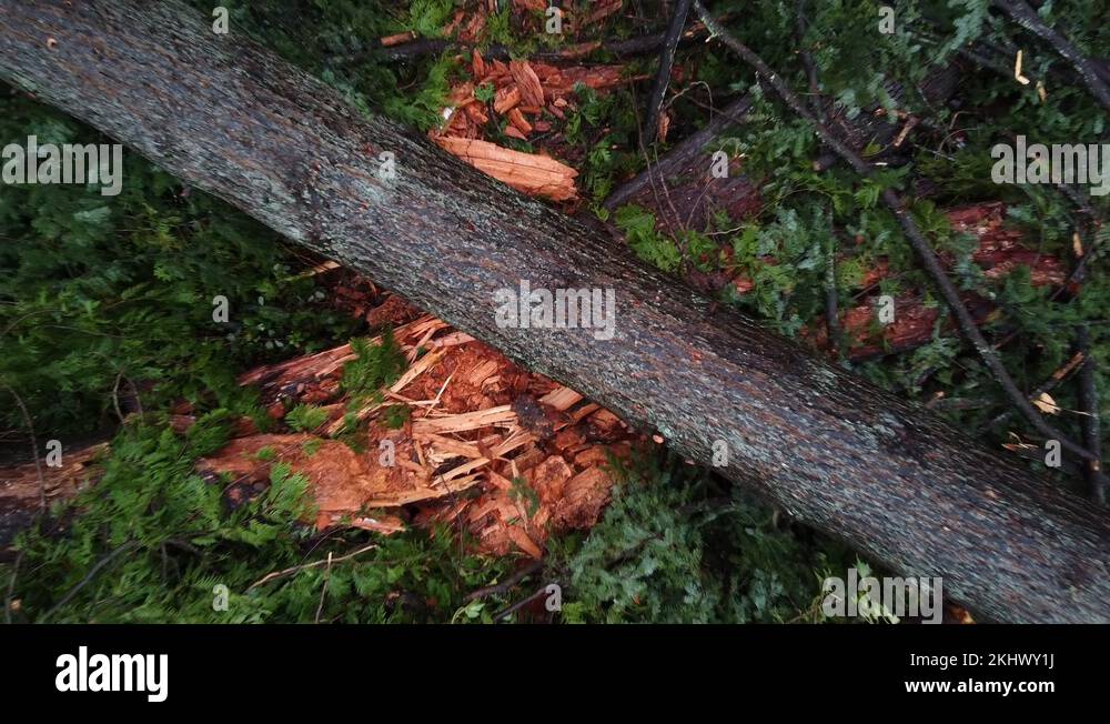 Lumber boom Stock Videos & Footage - HD and 4K Video Clips - Alamy Lumber boom Stock Videos & Footage - HD and 4K Video Clips - Alamy