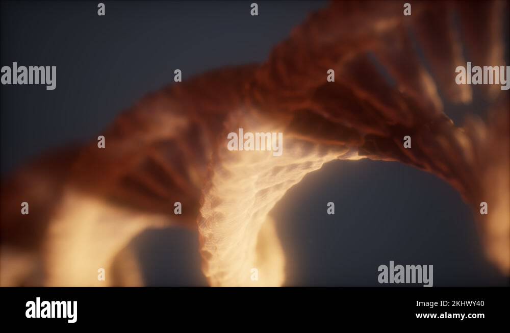 loopable structure of the DNA double helix animation Stock Video ...