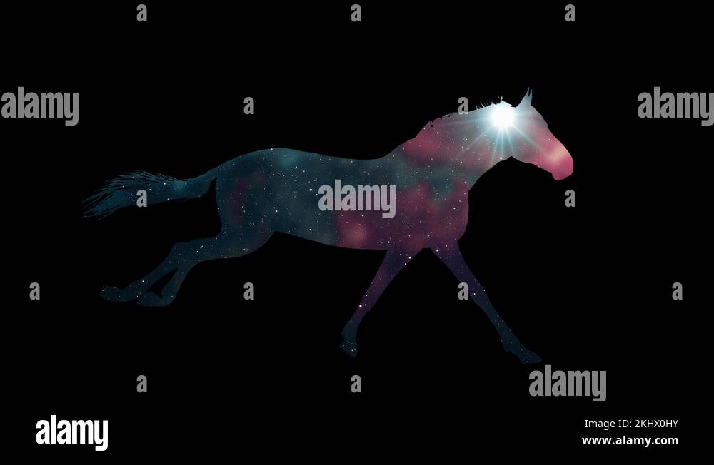 white horse running silhouette seamless loop new quality unique ...