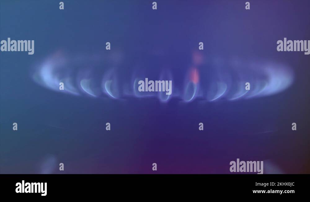 Gas blue flame. Gas stove on black background. Close-up of burning ...