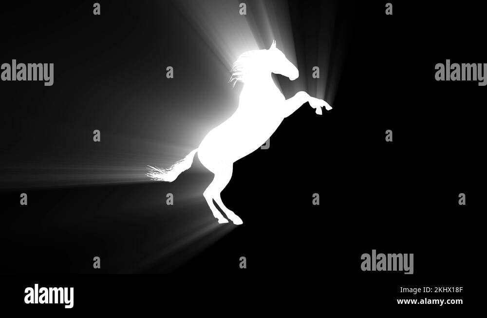 White horse silhouette Stock Videos & Footage - HD and 4K Video Clips ...