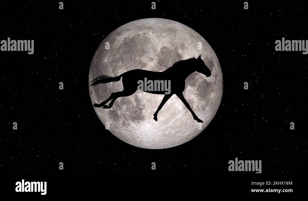 black horse running silhouette on full moon background loop new quality ...