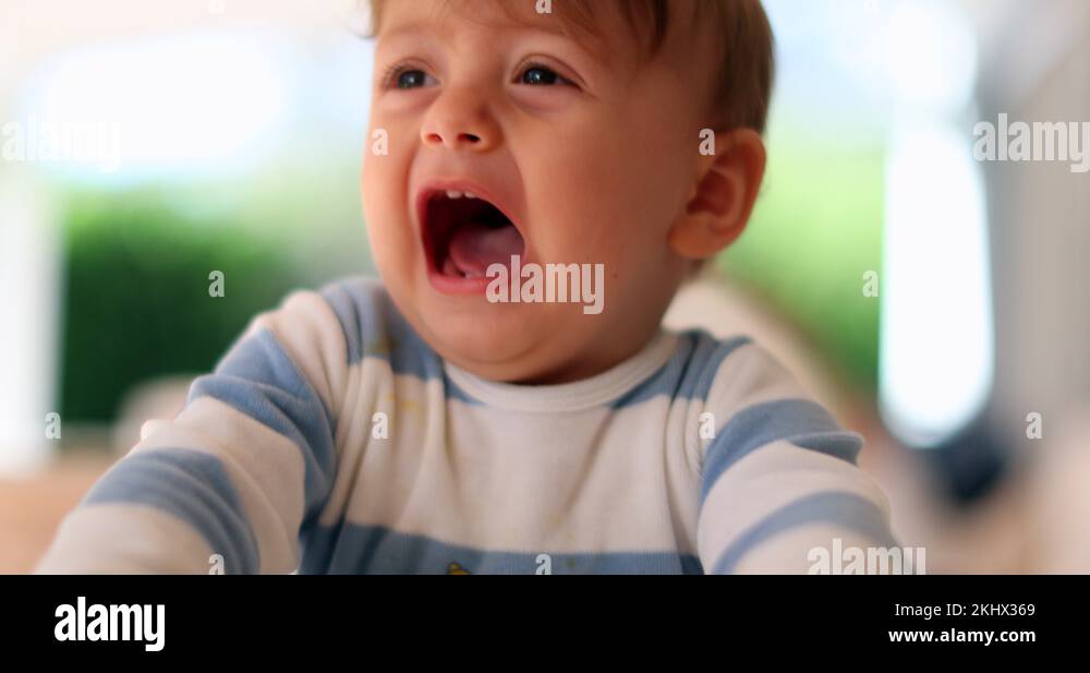 Brat toddler Stock Videos & Footage - HD and 4K Video Clips - Alamy