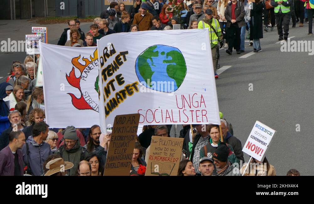 Demonstration of people global strike for climate with signs, Friday ...