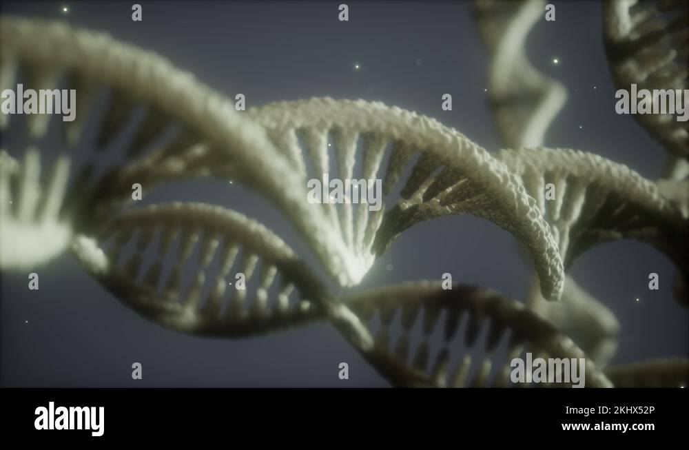double helical structure of dna strand close-up animation Stock Video ...