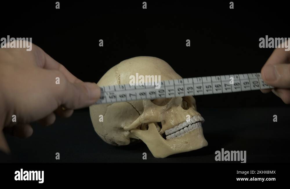 Measure bone Stock Videos & Footage - HD and 4K Video Clips - Alamy