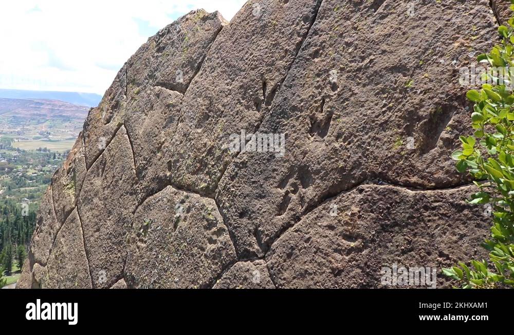 Rock dinosaur Stock Videos & Footage - HD and 4K Video Clips - Alamy