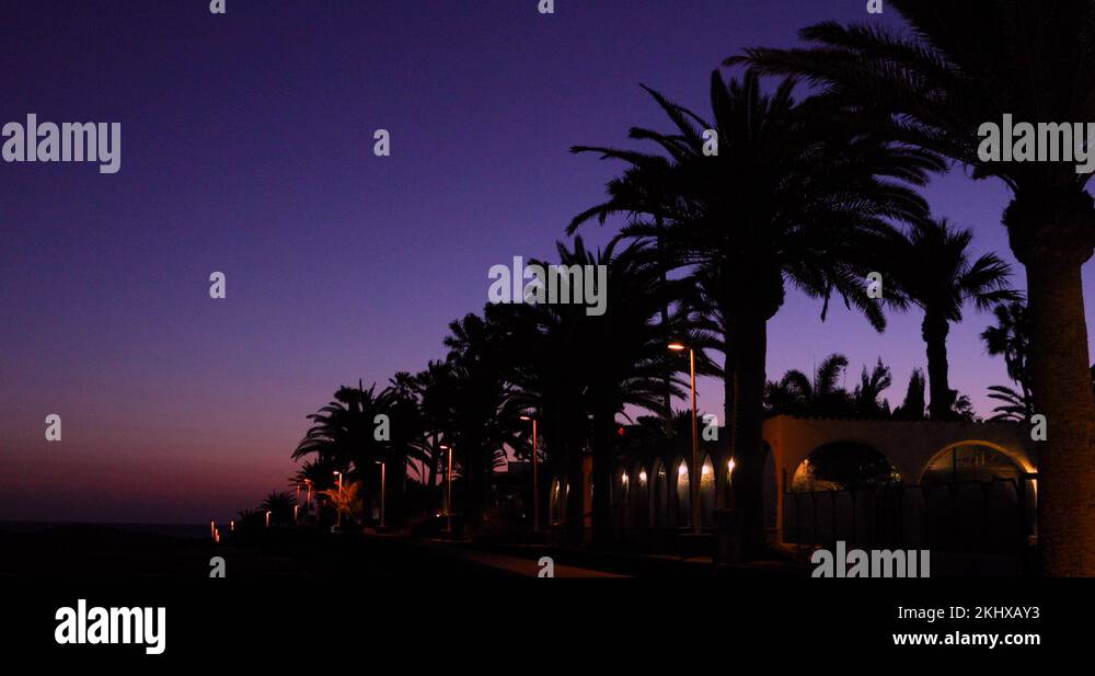 Dark purple sunset beach Stock Videos & Footage - HD and 4K Video Clips ...