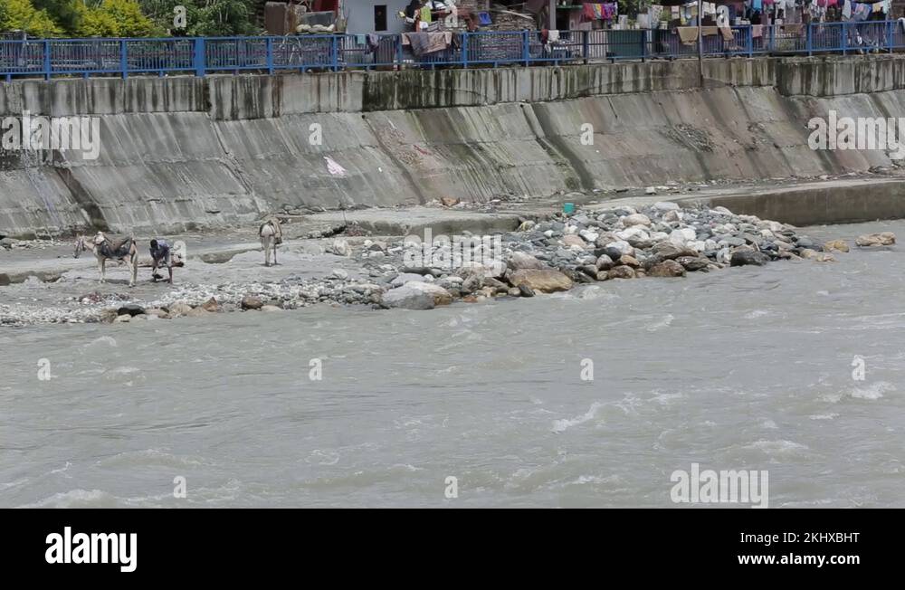 Himalaya mountainous river Ganges flowing through Himalaya villages ...