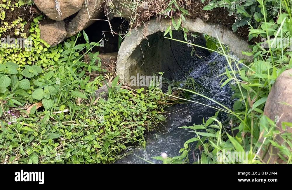 Small drainage system Stock Videos & Footage - HD and 4K Video Clips ...