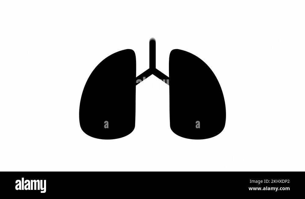 Lungs symbol icon appearing and breathing and expanding animation black ...
