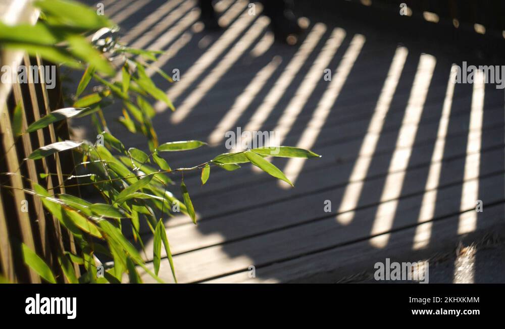 Person hanging silhouette Stock Videos & Footage - HD and 4K Video ...