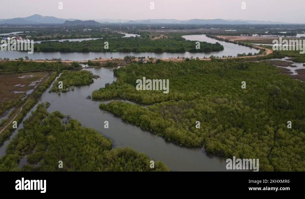Lush green mangrove forest and salt fields in Kampot, Cambodia - aerial ...