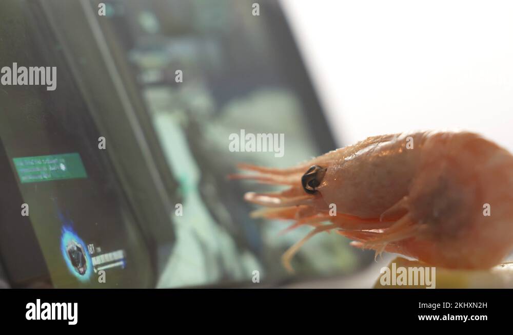Video game play Stock Videos & Footage - HD and 4K Video Clips - Alamy