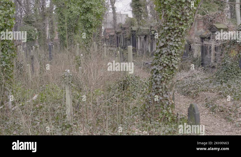 Neglected cemetery Stock Videos & Footage - HD and 4K Video Clips - Alamy
