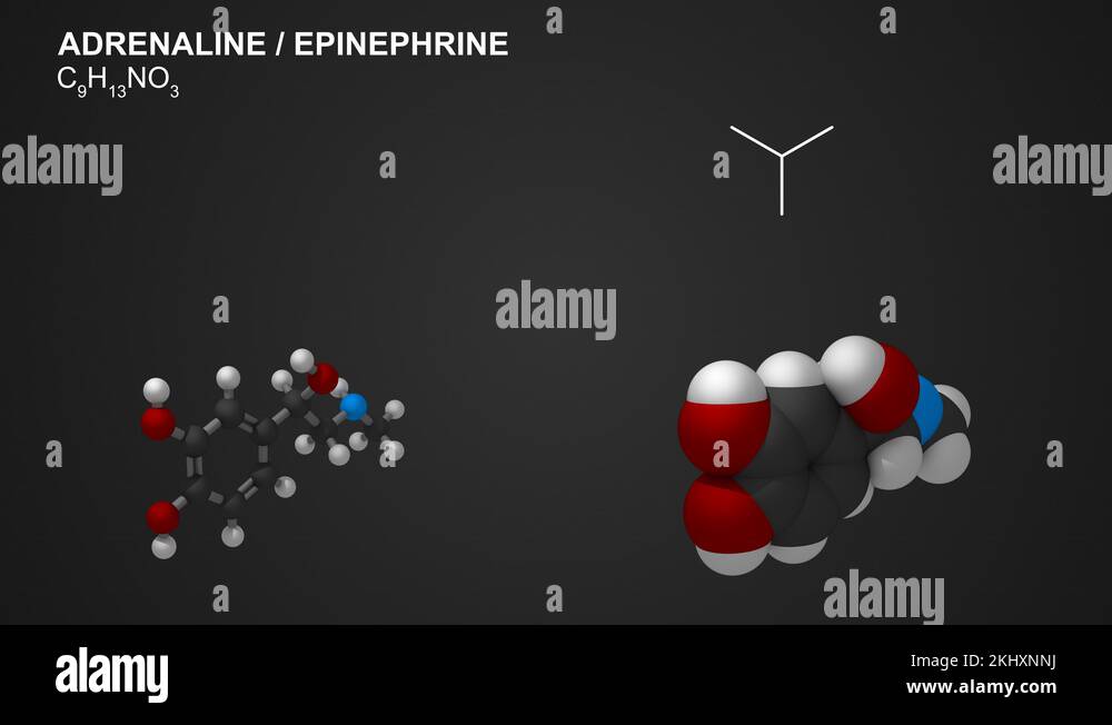 Animated models of adrenaline (epinephrine) molecule, seamless loop, 4K ...
