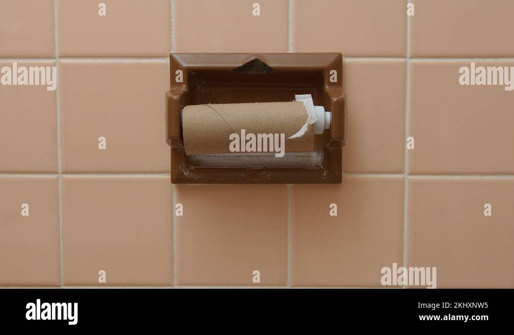 Man replaces toilet paper roll that ran out in real time on wall in ...