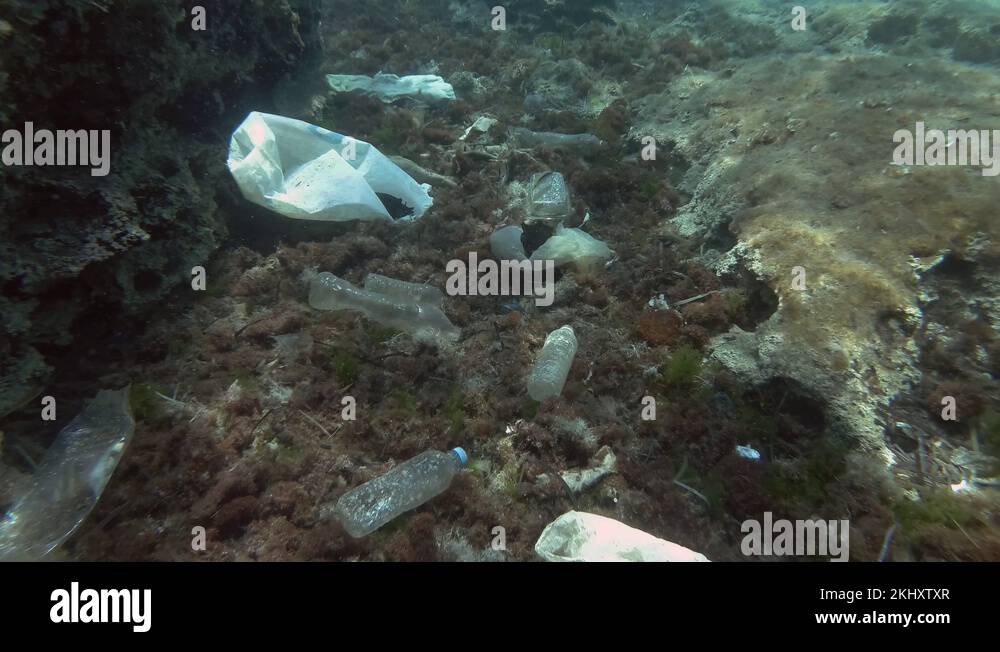 Massive plastic pollution on ocean bottom. Tropical fishes swims over ...