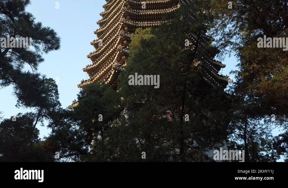 China art university Stock Videos & Footage - HD and 4K Video Clips - Alamy