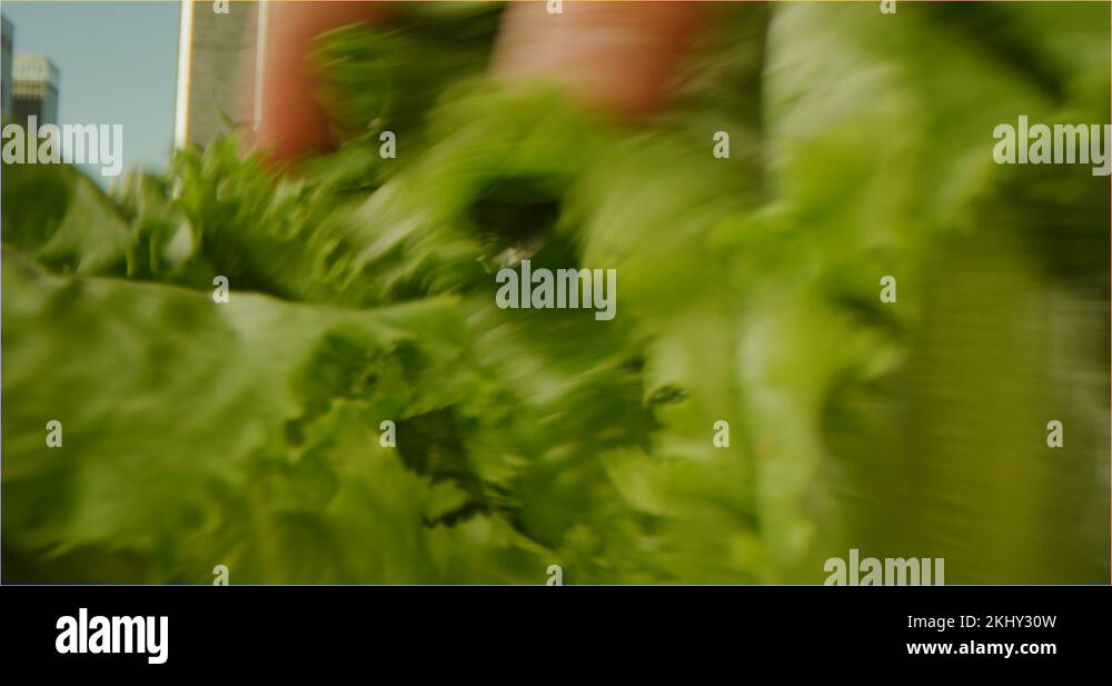 Pushing through composition of fruits and vegetables, sliding over ...