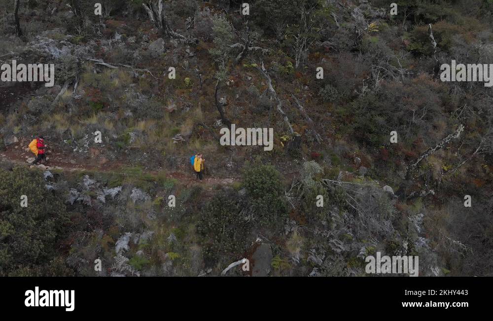 Hiking to Costa Rica highest mountain Cerro Chirripo Stock Video ...