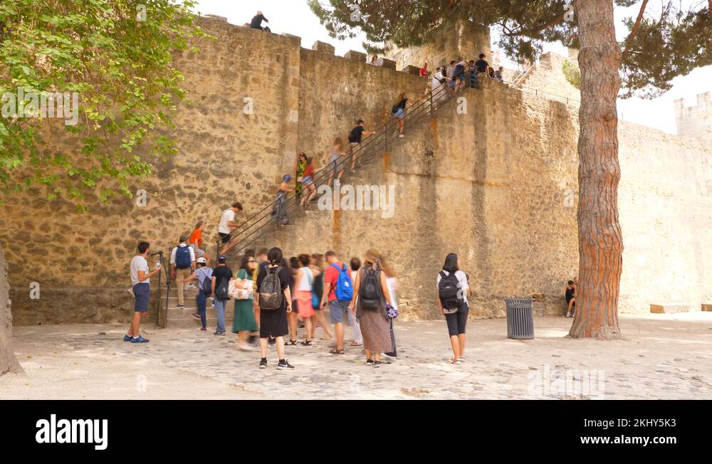 Ladder castle wall Stock Videos & Footage - HD and 4K Video Clips - Alamy