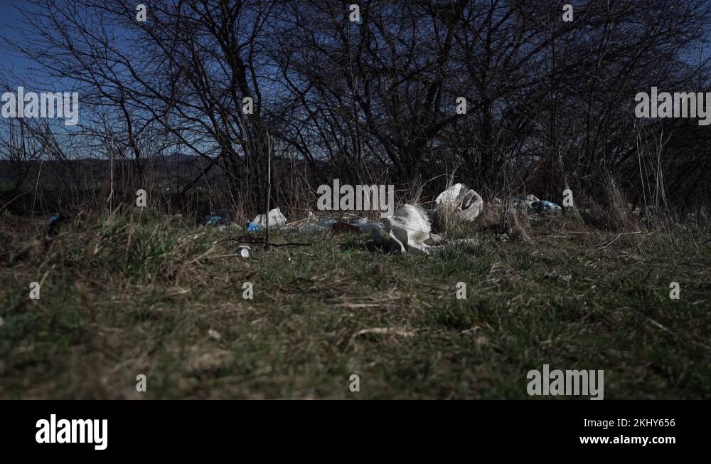 Humans with nature Stock Videos & Footage - HD and 4K Video Clips - Alamy