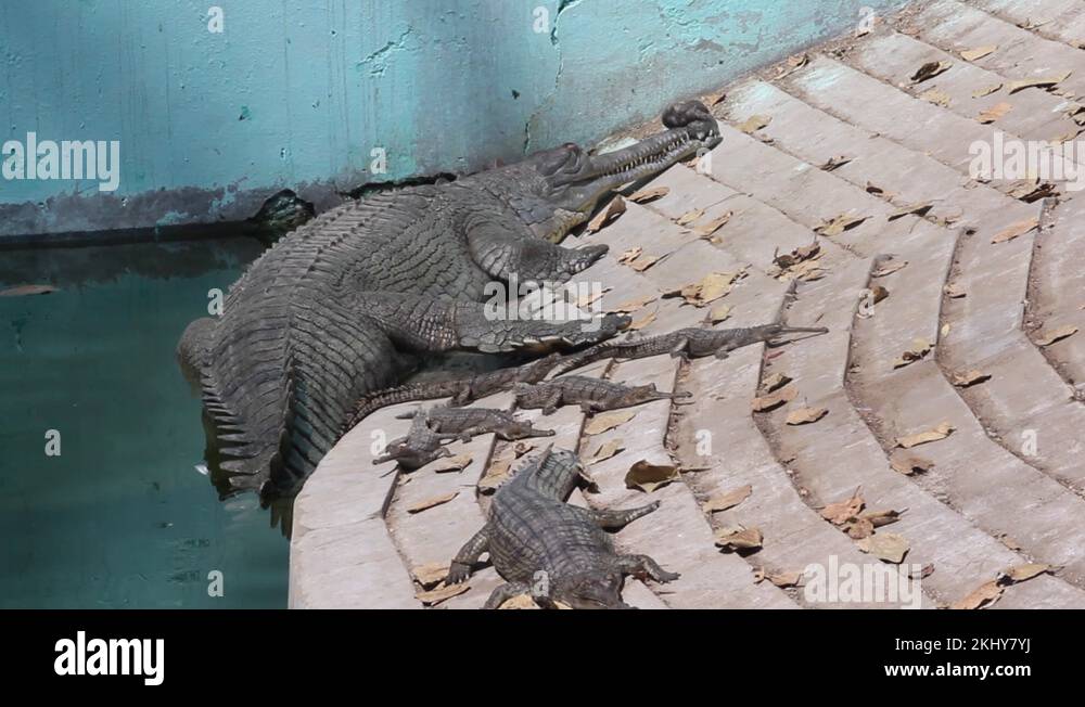 Eight feet Stock Videos & Footage - HD and 4K Video Clips - Alamy