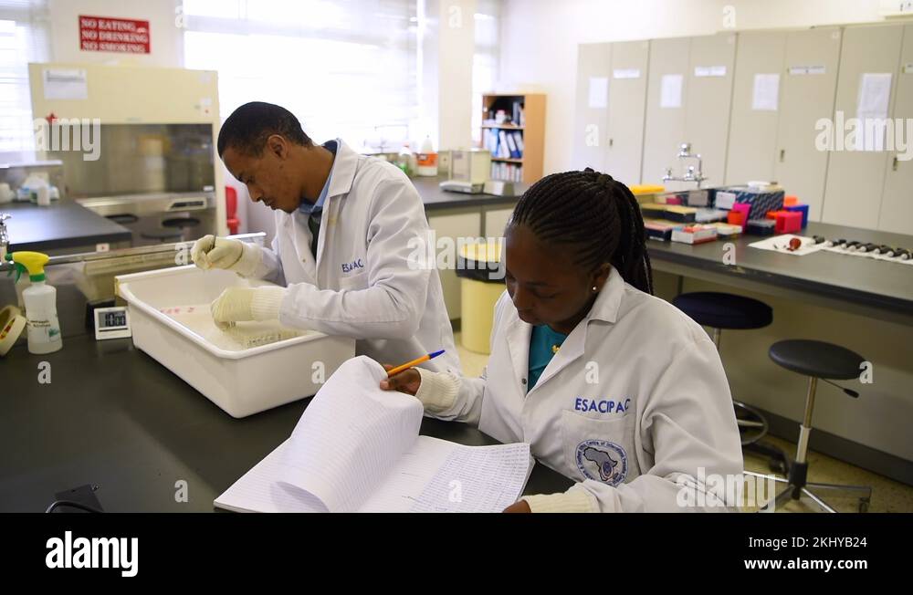Blood record Stock Videos & Footage - HD and 4K Video Clips - Alamy