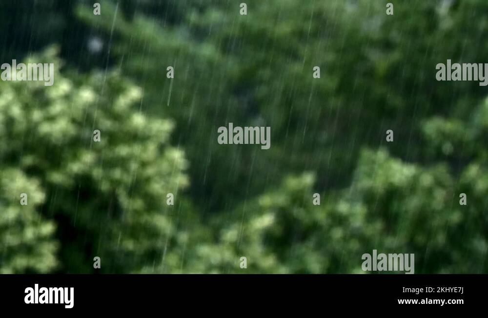 Raining pouring Stock Videos & Footage - HD and 4K Video Clips - Alamy