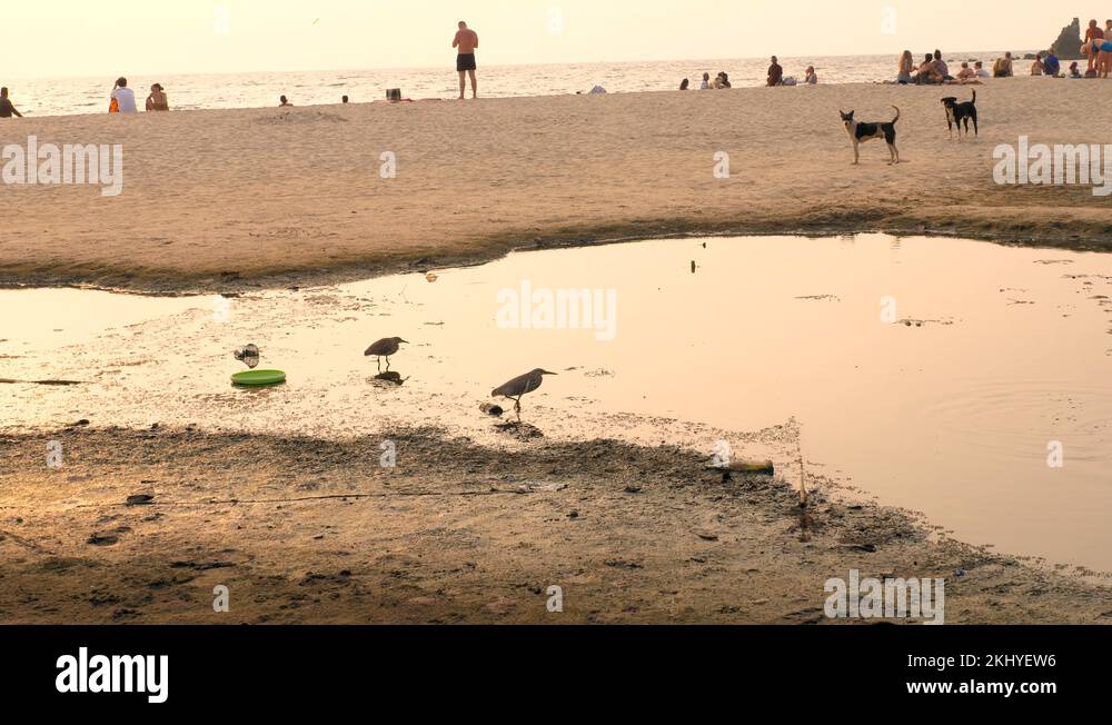 Culture shock india Stock Videos & Footage - HD and 4K Video Clips - Alamy