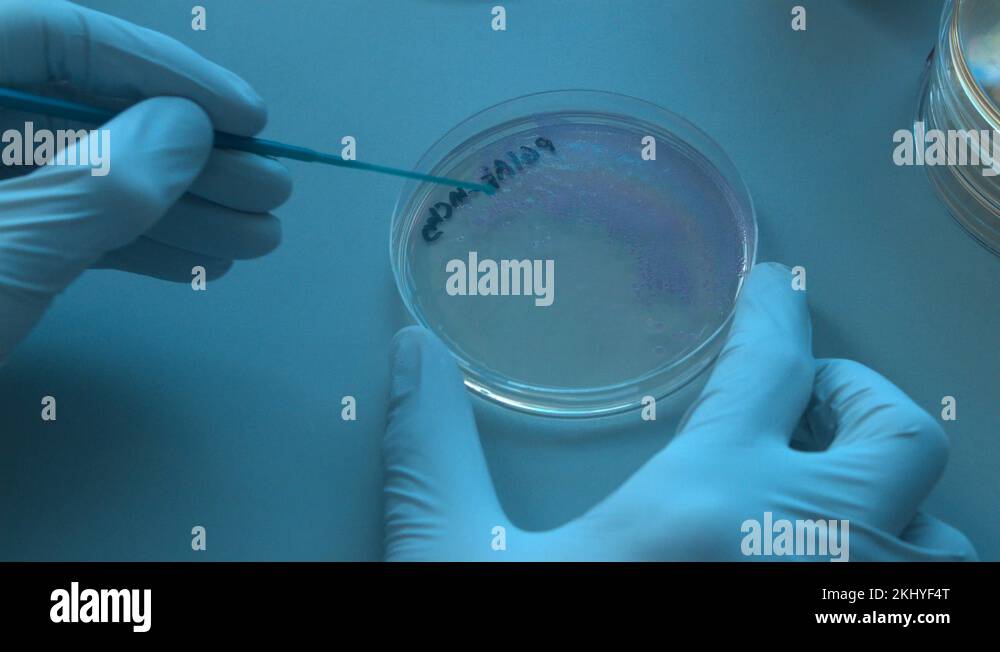 Viral testing Stock Videos & Footage - HD and 4K Video Clips - Alamy