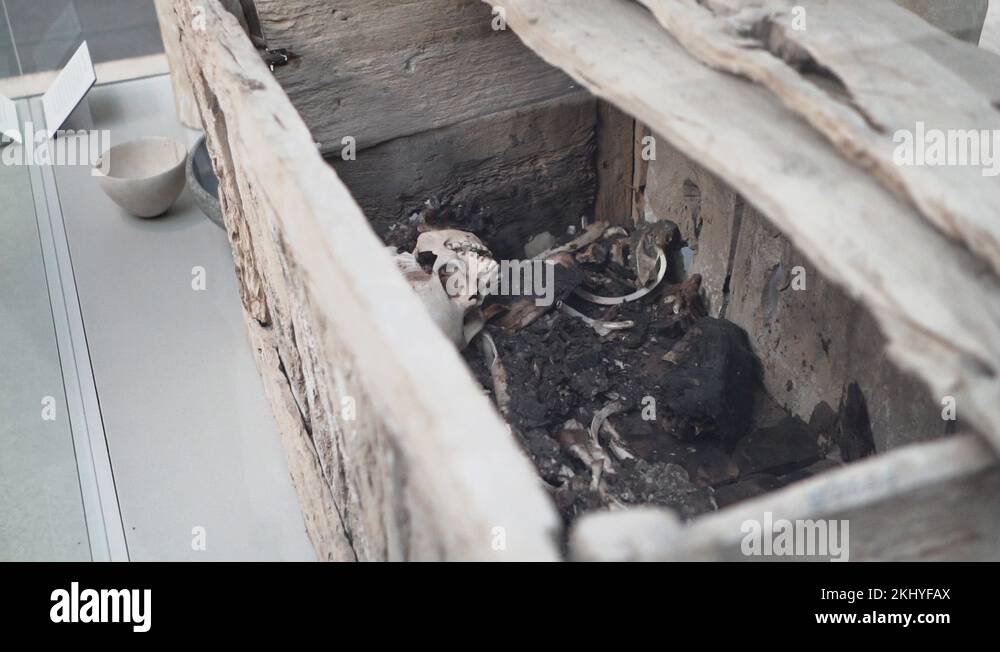 Wooden coffin with human skeletal remains, displayed at The British ...