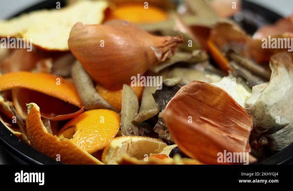 Rotten kitchen Stock Videos & Footage - HD and 4K Video Clips - Alamy