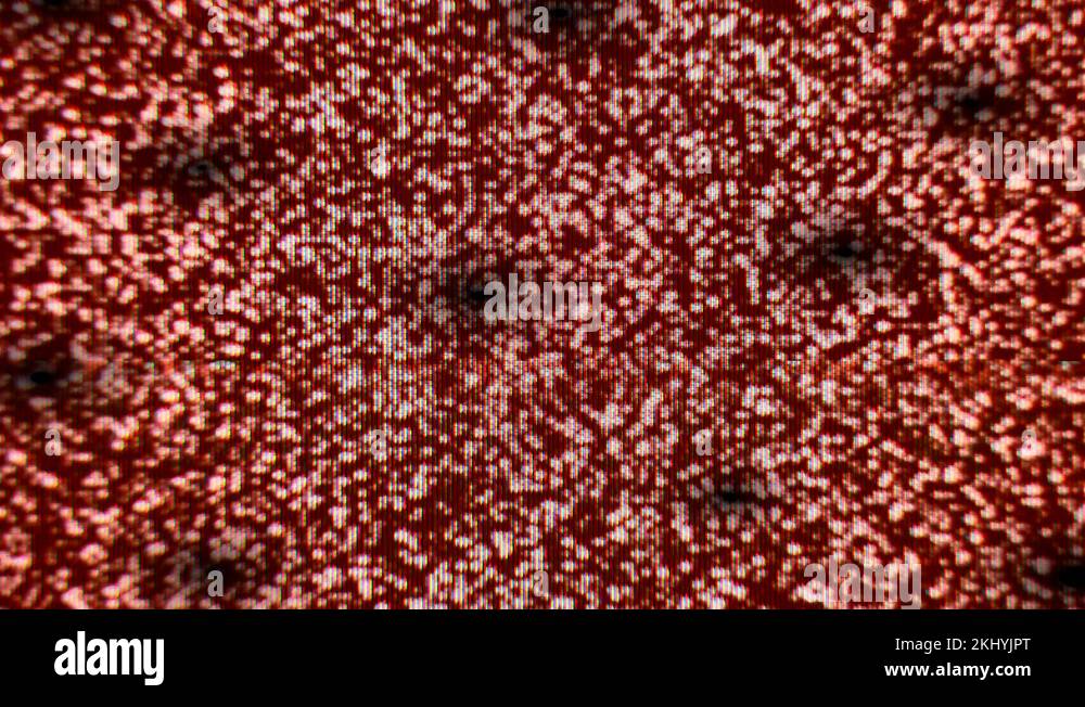 Microscope blood cells Stock Videos & Footage - HD and 4K Video Clips ...