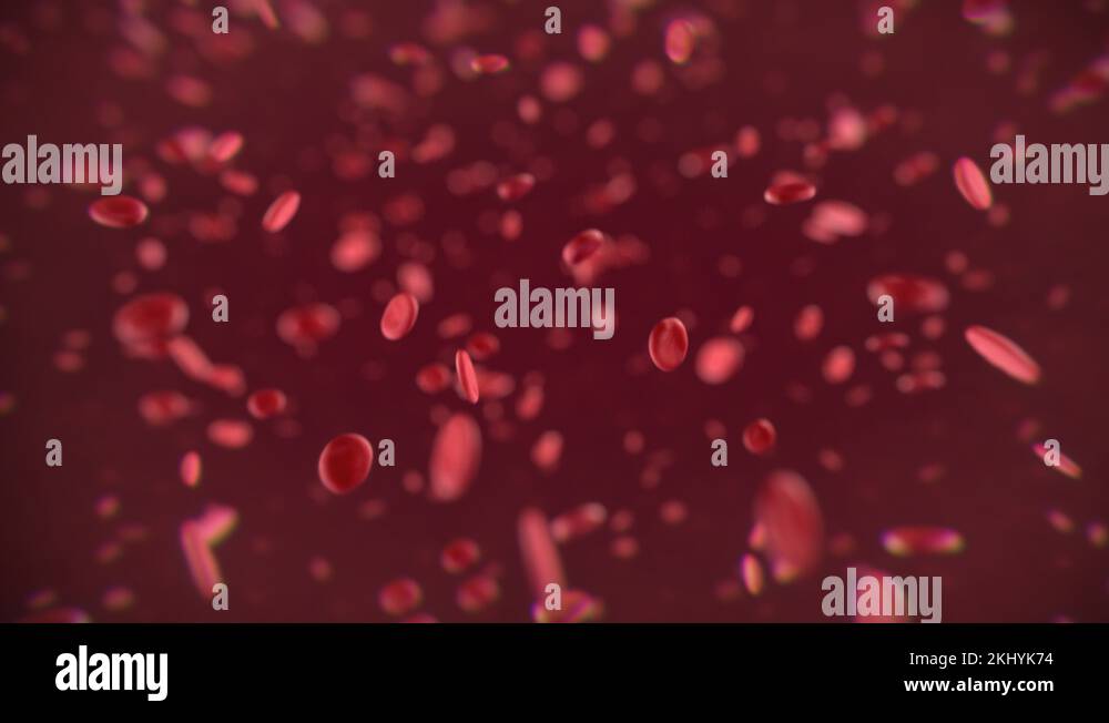 Red blood cell cells Stock Videos & Footage - HD and 4K Video Clips - Alamy