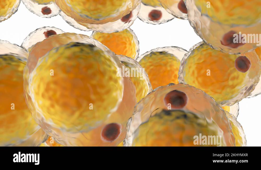 Cell cluster Stock Videos & Footage - HD and 4K Video Clips - Alamy