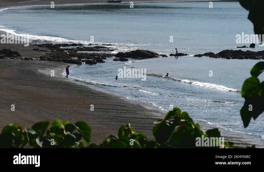 Swimming at beach Stock Videos & Footage - HD and 4K Video Clips - Alamy