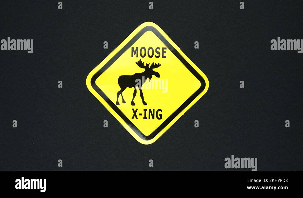 Moose warning sign Stock Videos & Footage - HD and 4K Video Clips - Alamy