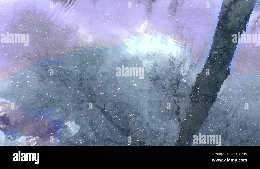 Sky Reflections in puddle. Tree and kid reflections. Water splash rings ...