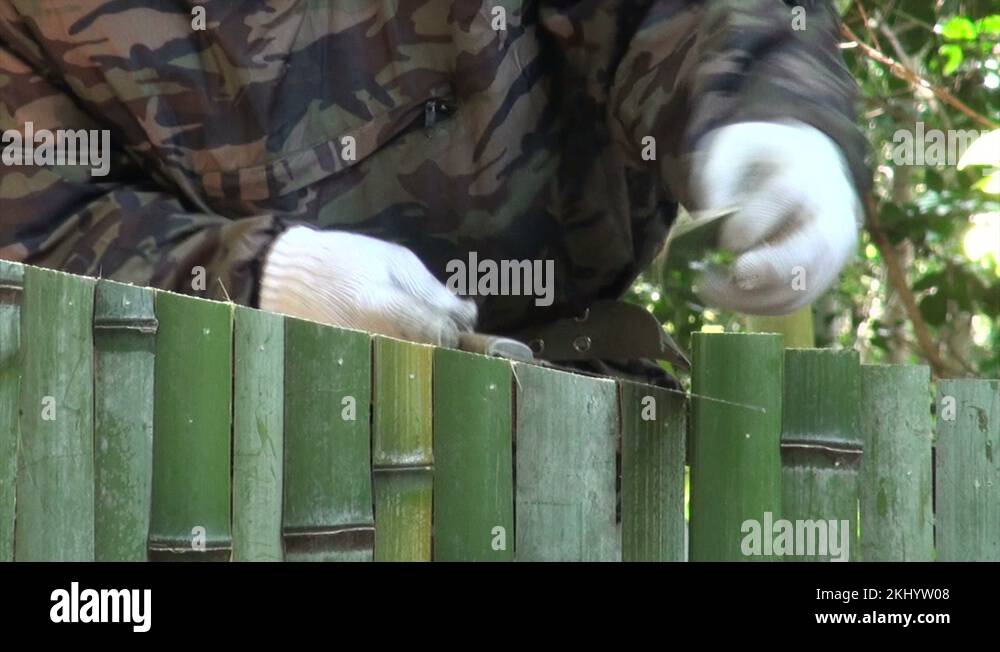 Traditional japanese bamboo fence Stock Videos & Footage - HD and 4K ...