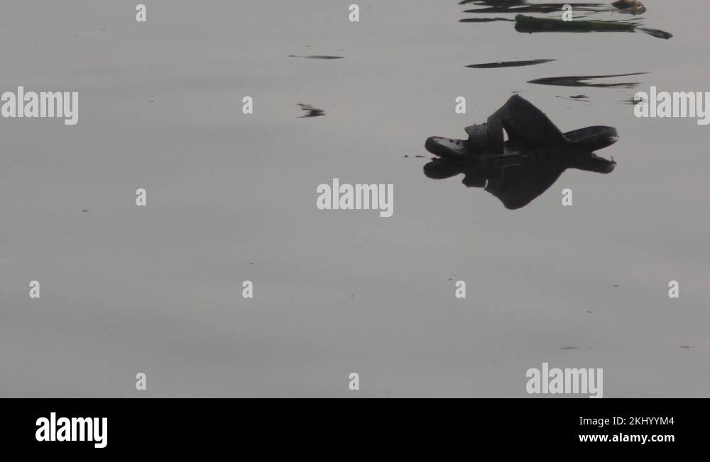 Floating pollution Stock Videos & Footage - HD and 4K Video Clips - Alamy