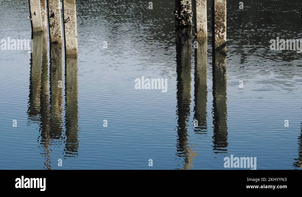 Pier piles Stock Videos & Footage - HD and 4K Video Clips - Alamy