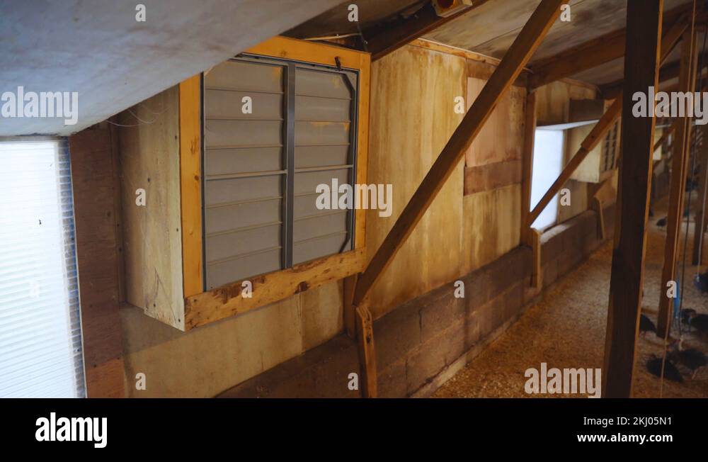 Indoor poultry farm air conditioning unit turning on and fans starting ...