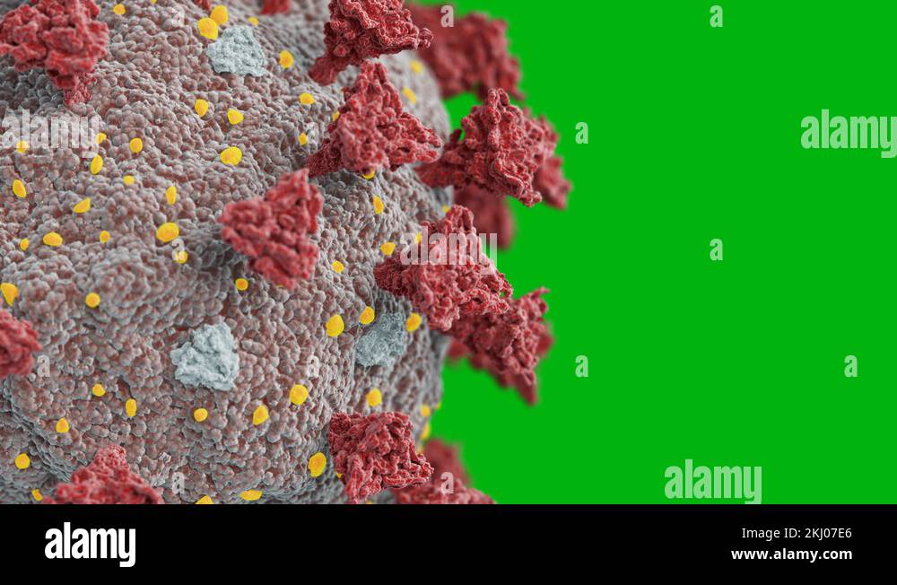 Covid-19 Virus Extreme Close-up Structure in Electron Microscope ...