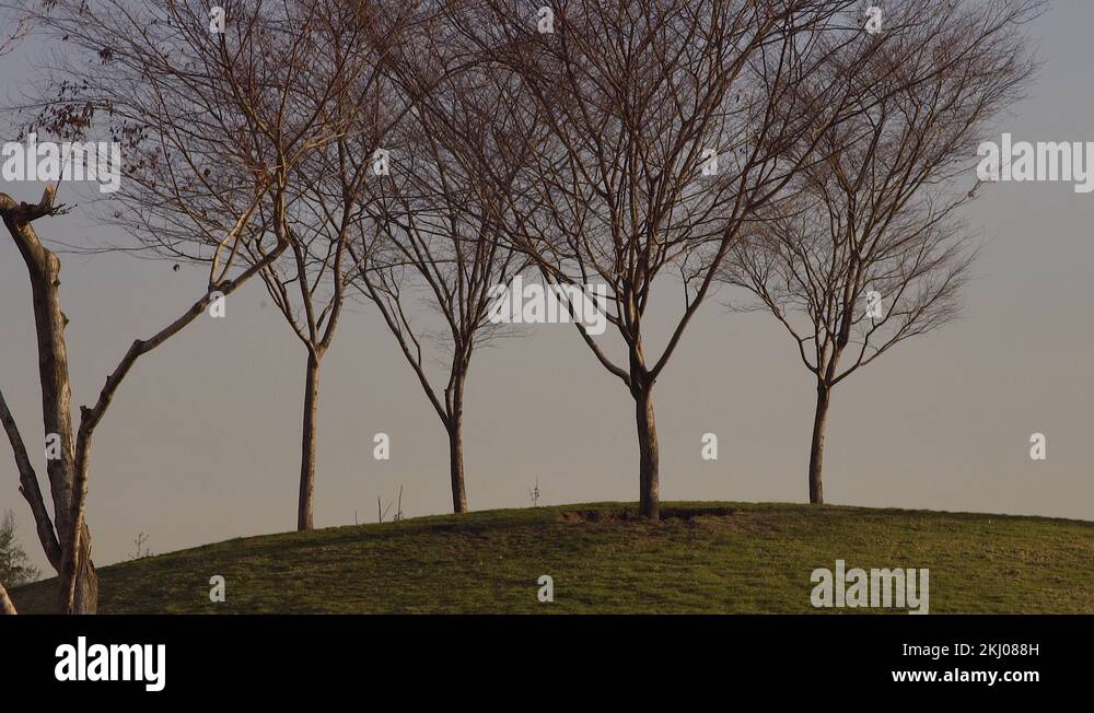 Normal park Stock Videos & Footage - HD and 4K Video Clips - Alamy