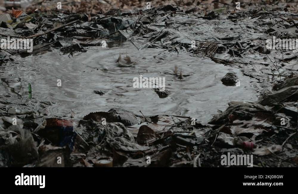 A mud bridge Stock Videos & Footage - HD and 4K Video Clips - Alamy